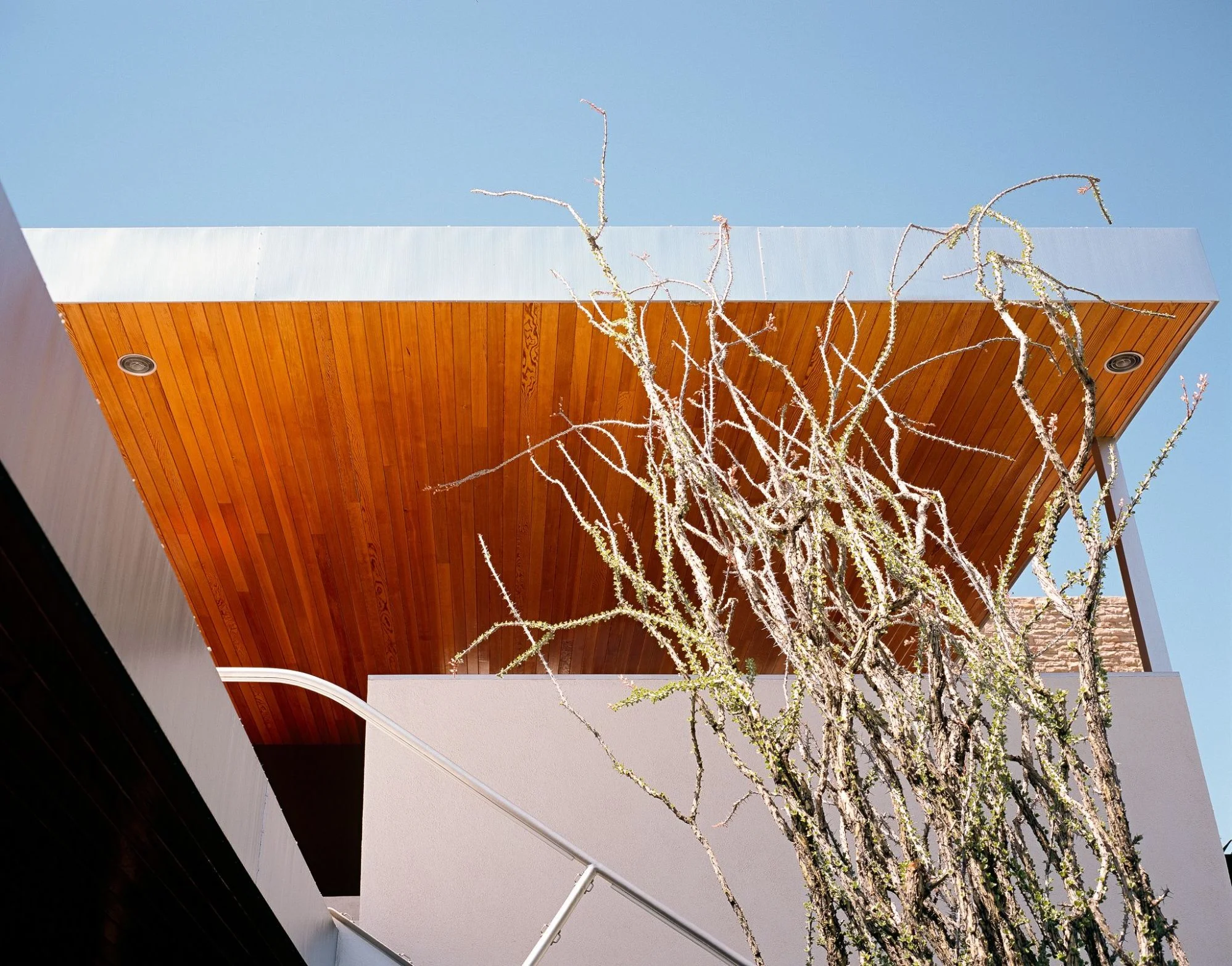 Five Things You Should Know About the Kaufmann Desert House — ROST ...