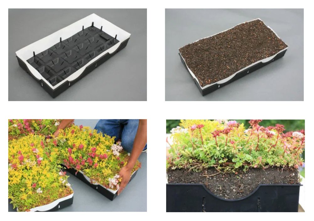 Top Six Reasons You Should Install a Green Roof On Your Net Zero Home ...