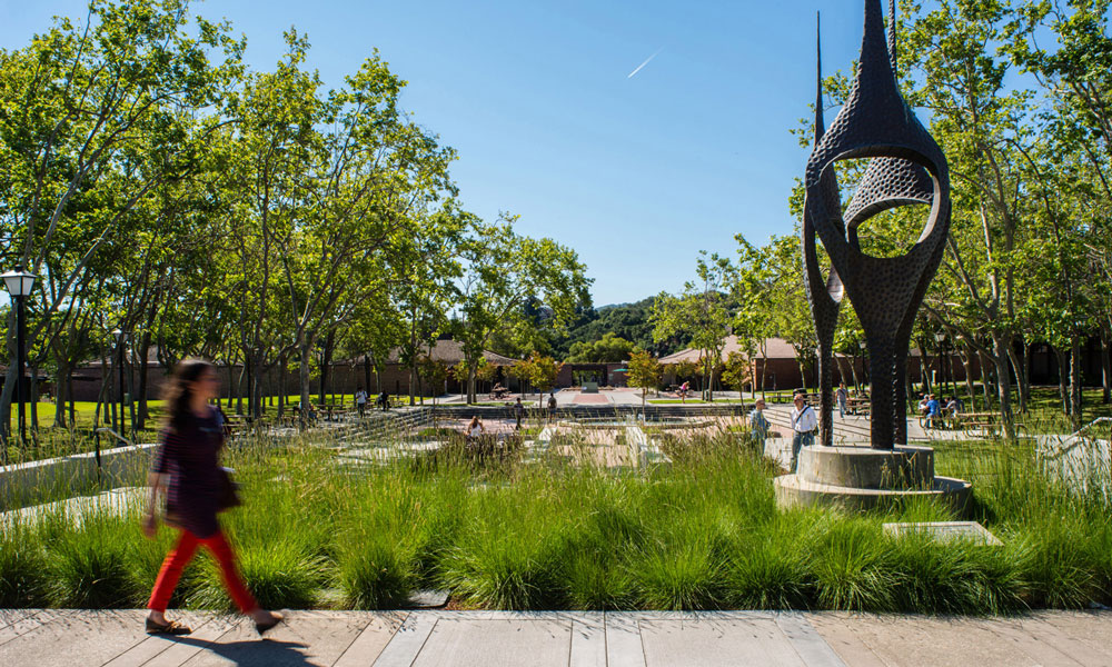 FOOTHILL COLLEGE CAMPUS IMPROVEMENTS — MANTLE Landscape Architecture
