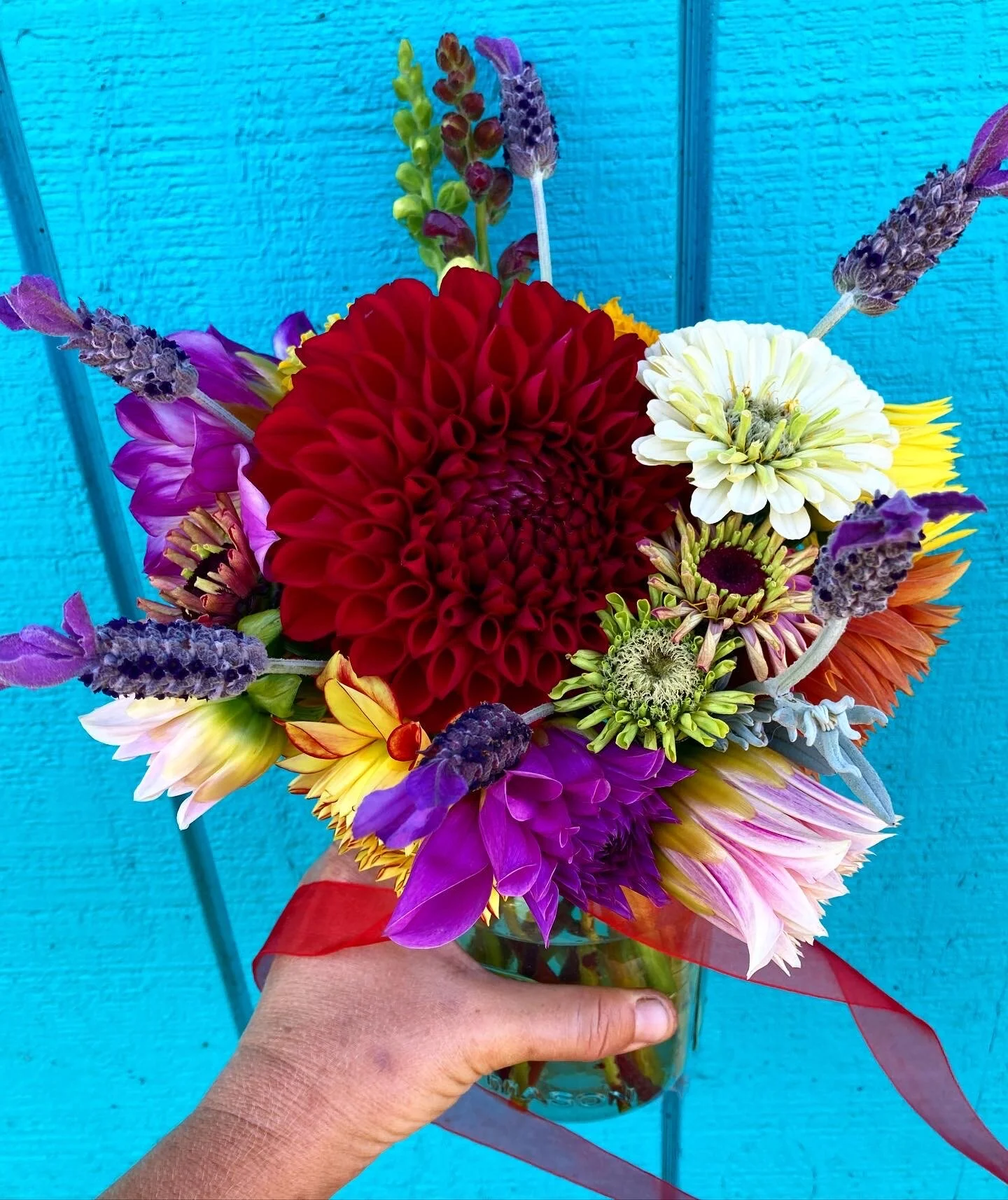 Table Bluff Farm, LLC