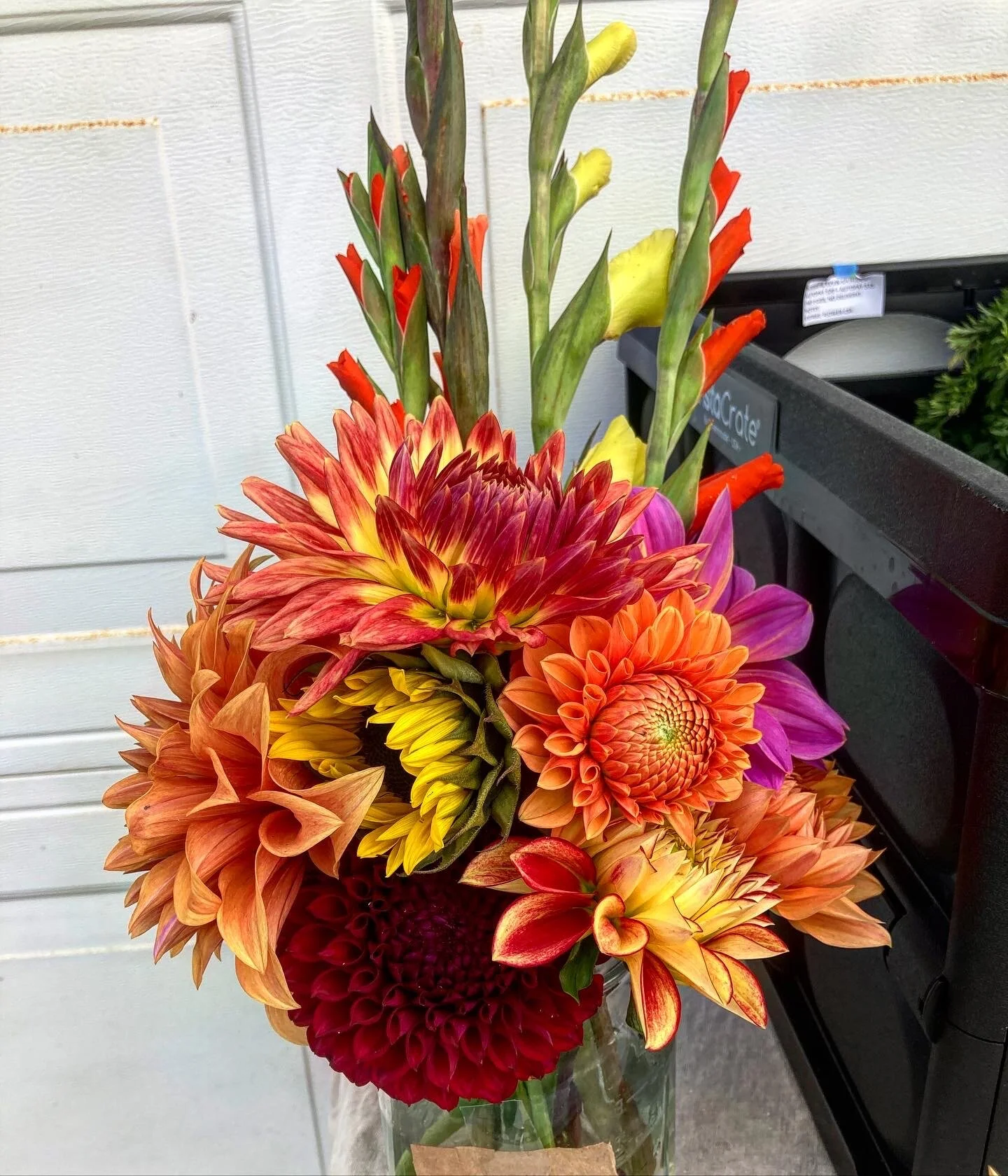 Table Bluff Farm, LLC