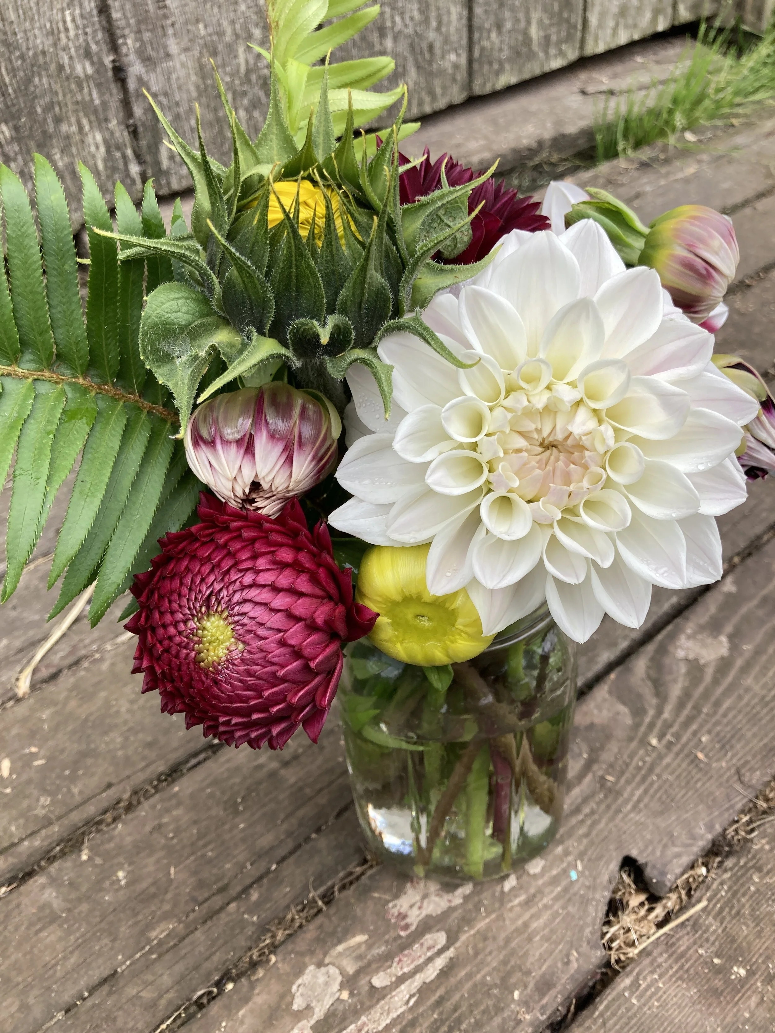 Table Bluff Farm, LLC