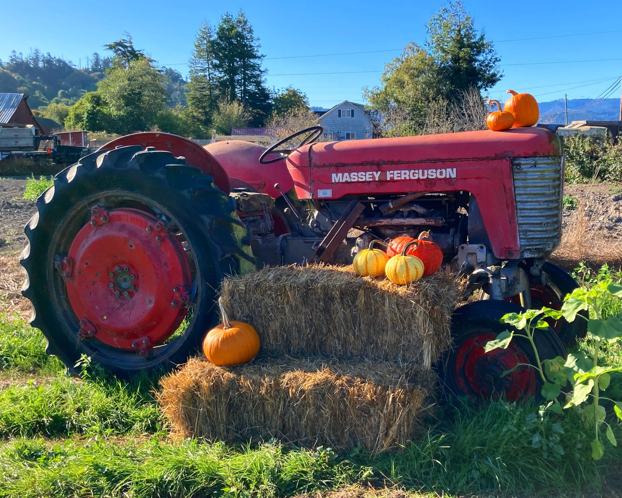 Table Bluff Farm, LLC