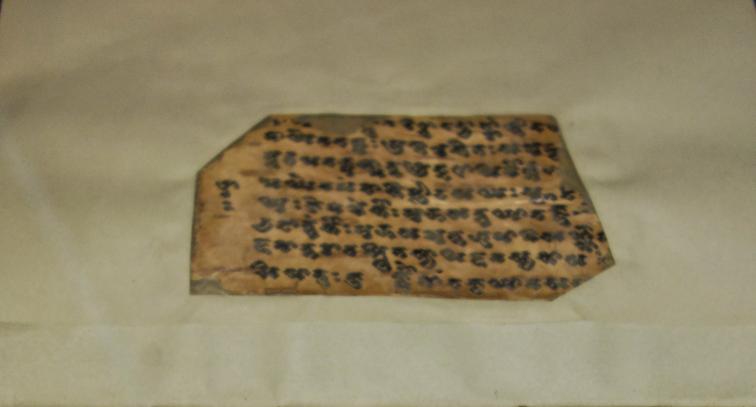 The Treasures of the Shri Pratap Singh Museum