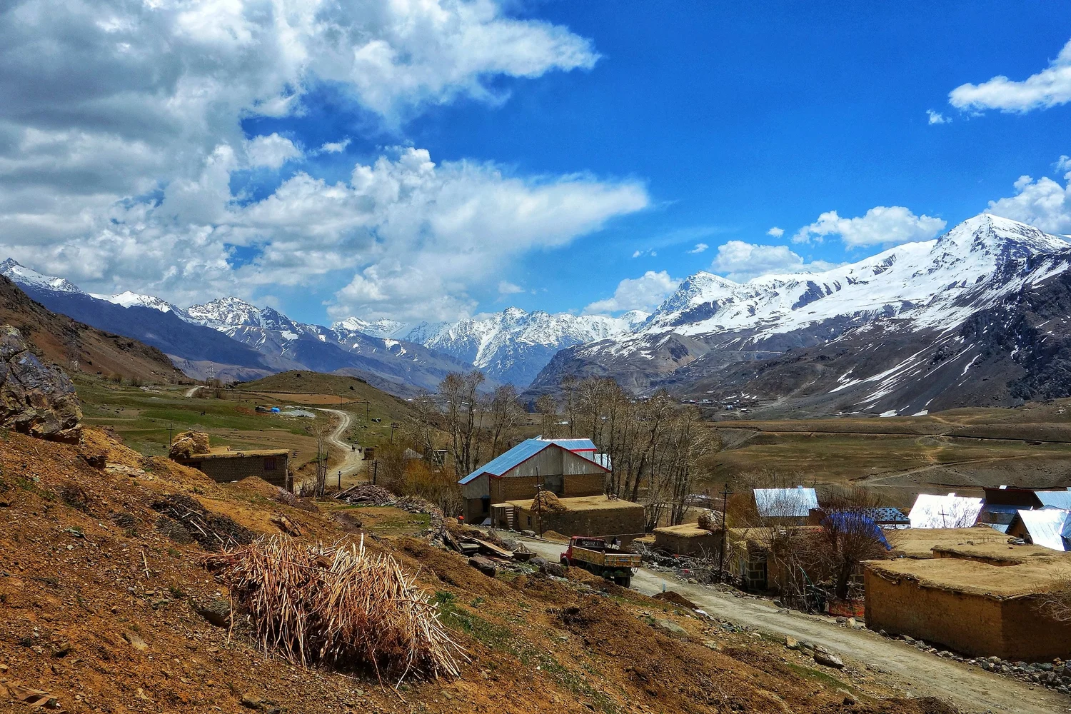 Herodotus's Legendary Fox Sized Gold Digging Ants