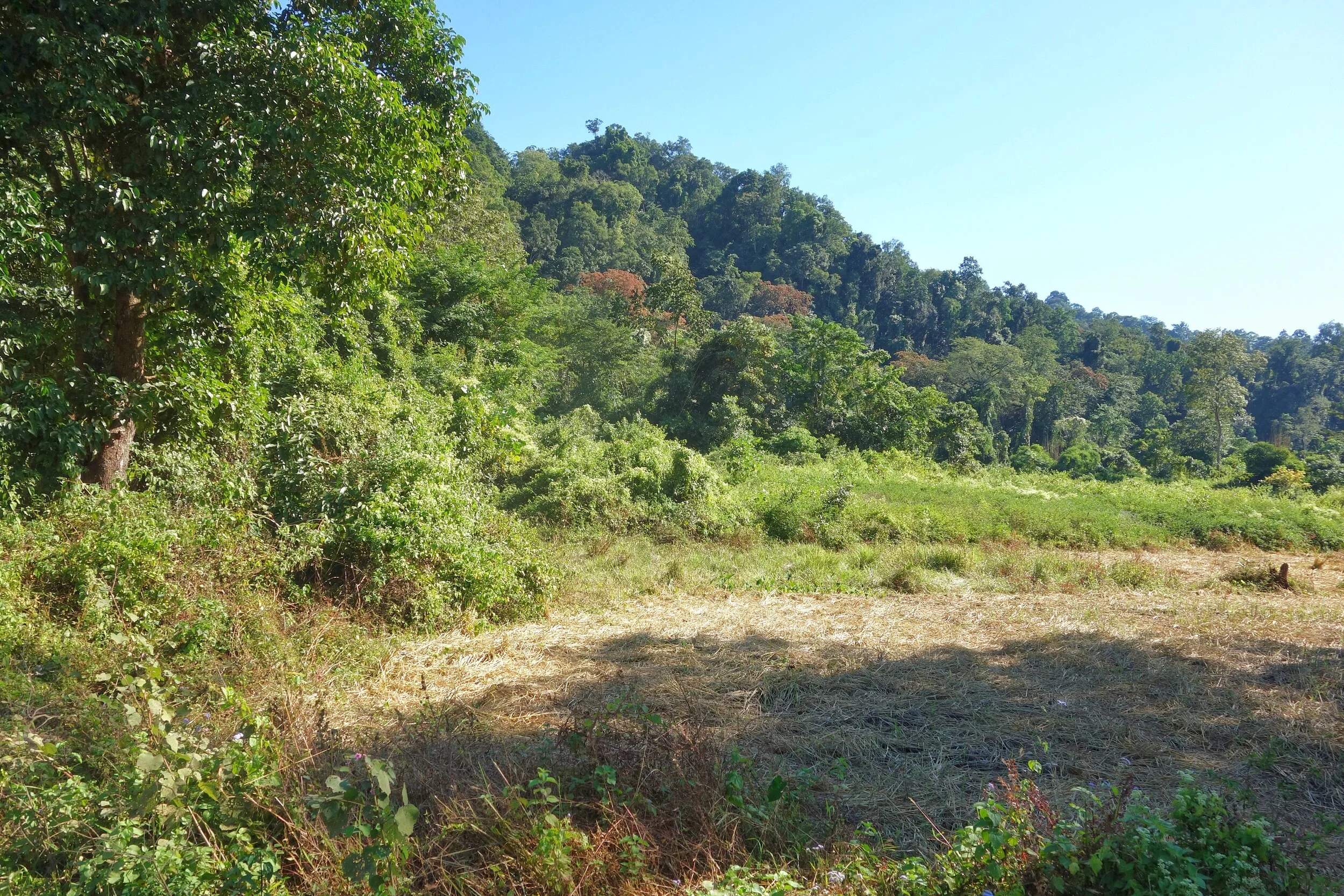 Namdapha National Park
