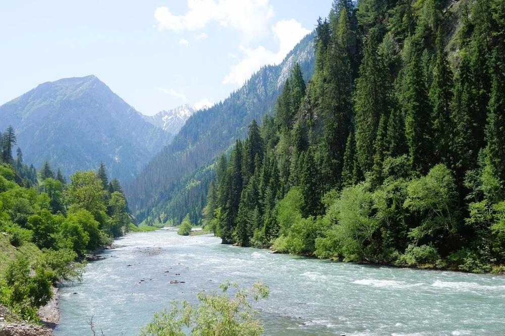 The Gurez Lolab Bangus Experience