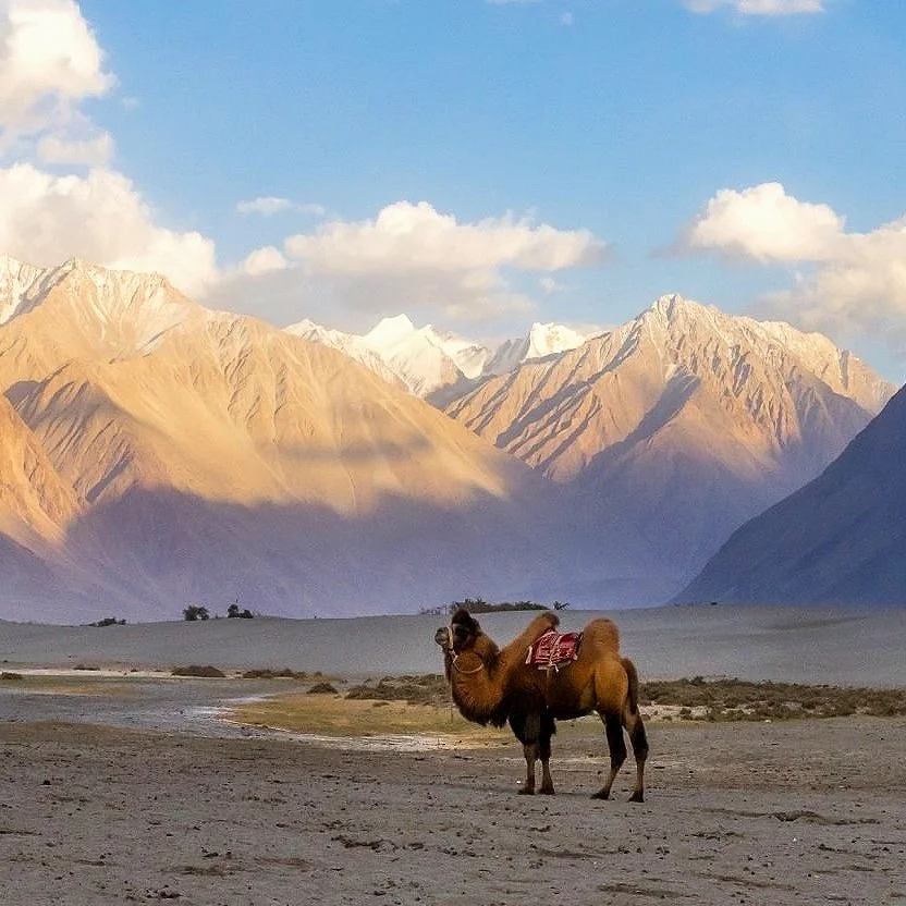 Curated Experiences in the Himalayas