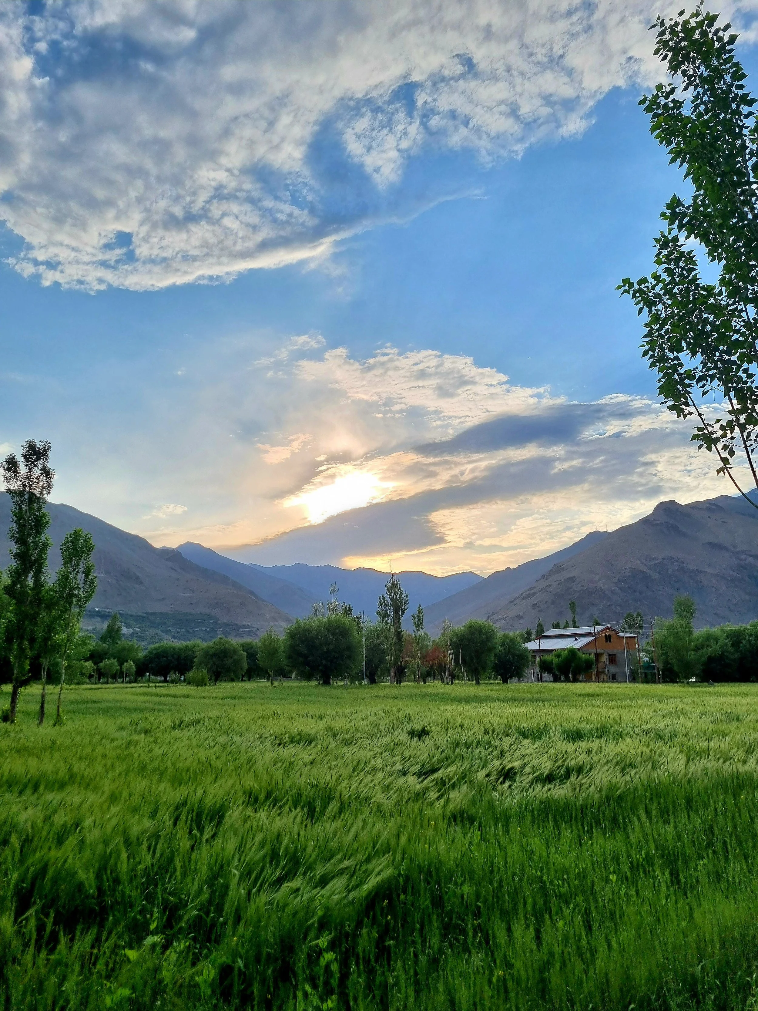 Suru Valley : National Geographic's Best Places to Visit in 2025