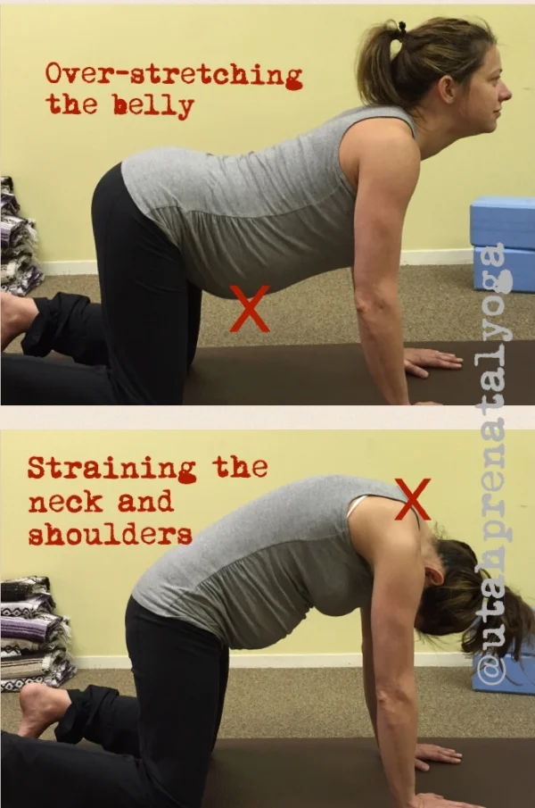 Cat-Cow and Pelvic Tilting: What's the Difference? — Utah Prenatal Yoga