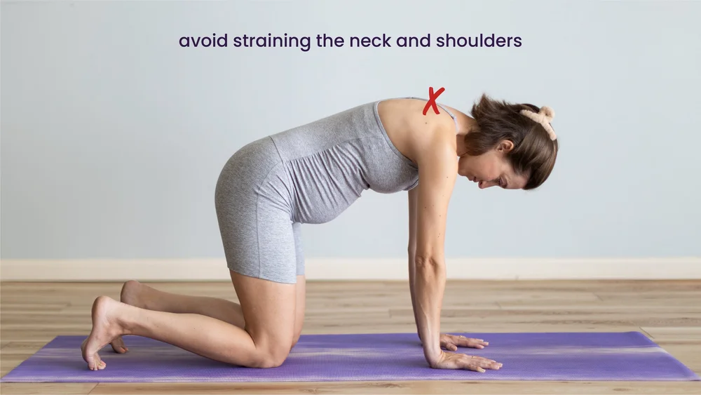 The New Cat‑Cow: Pregnancy‑Safe Yoga Pose for Pelvic Mobility & Core ...