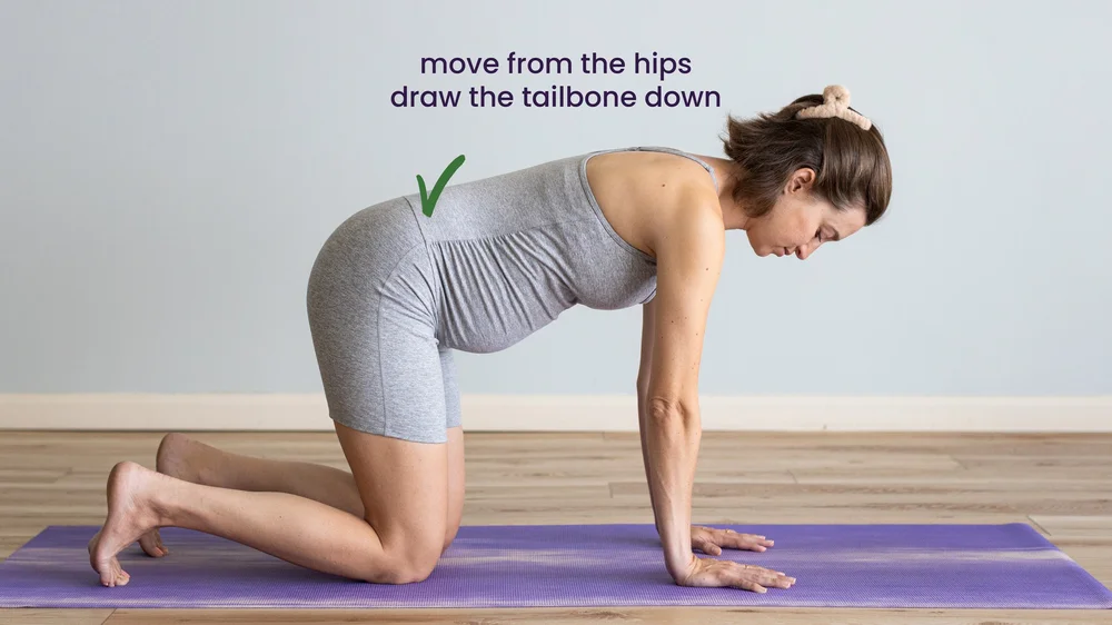 Cat-Cow vs Pelvic Tilts in Pregnancy Guide — Utah Prenatal Yoga