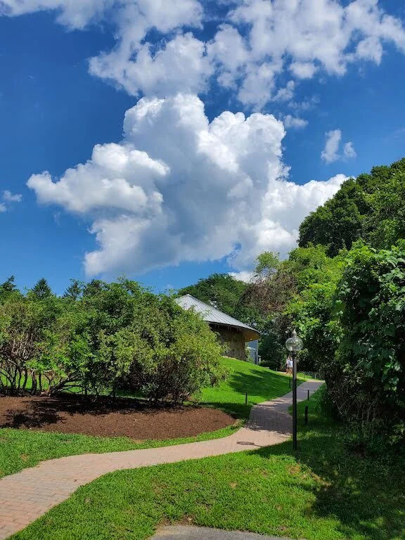 House & Archive — The Maurice Sendak Foundation