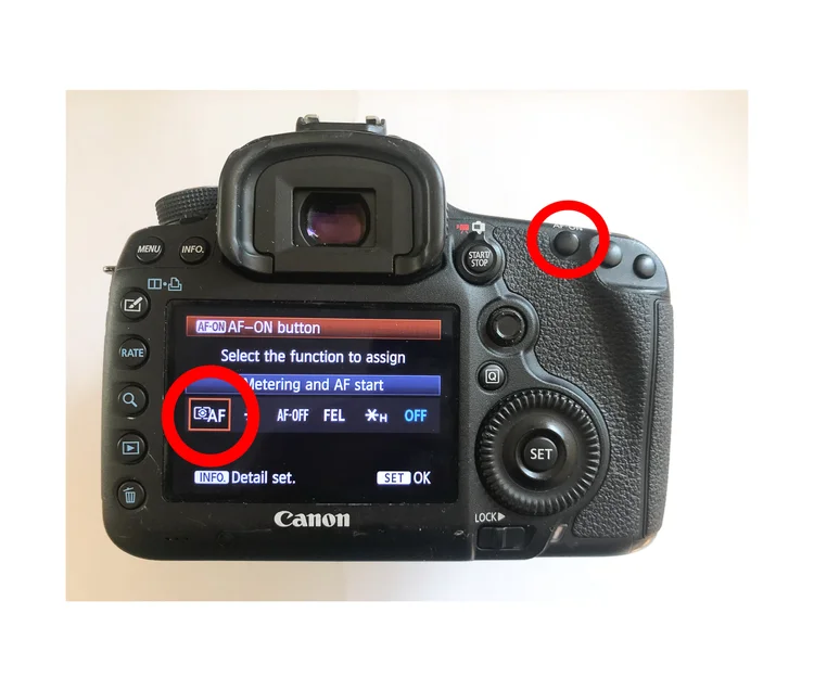 You Need To Use Back Button Focusing — Daniel Long Photography
