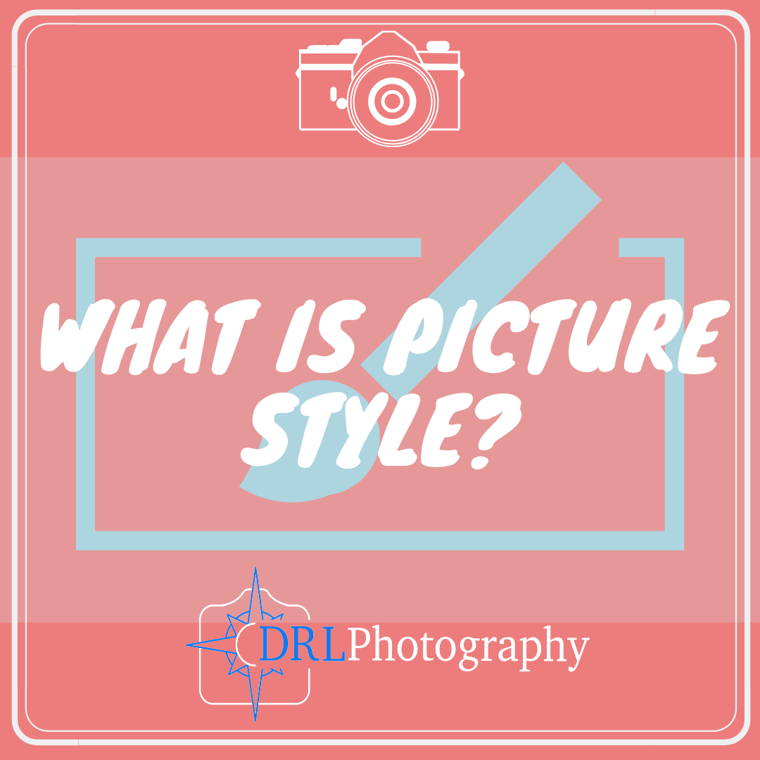 What Is Picture Style Daniel Long Photography what-is-picture-style-daniel-long-photography