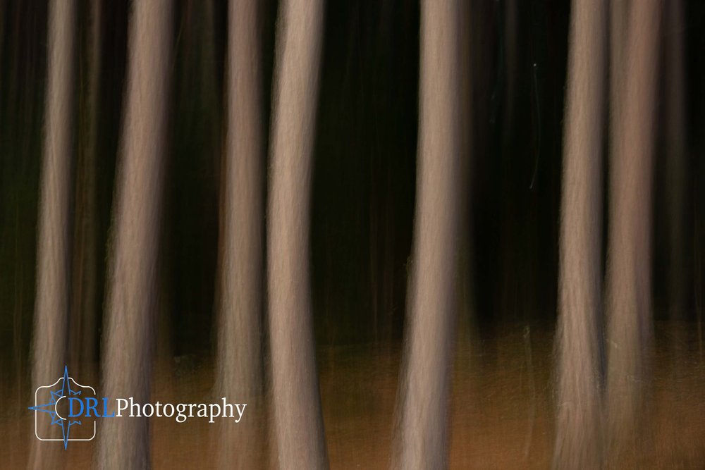 What is ICM and How to do it? — Daniel Long Photography