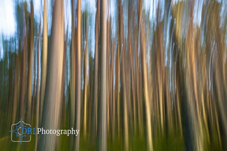 What is ICM and How to do it? — Daniel Long Photography