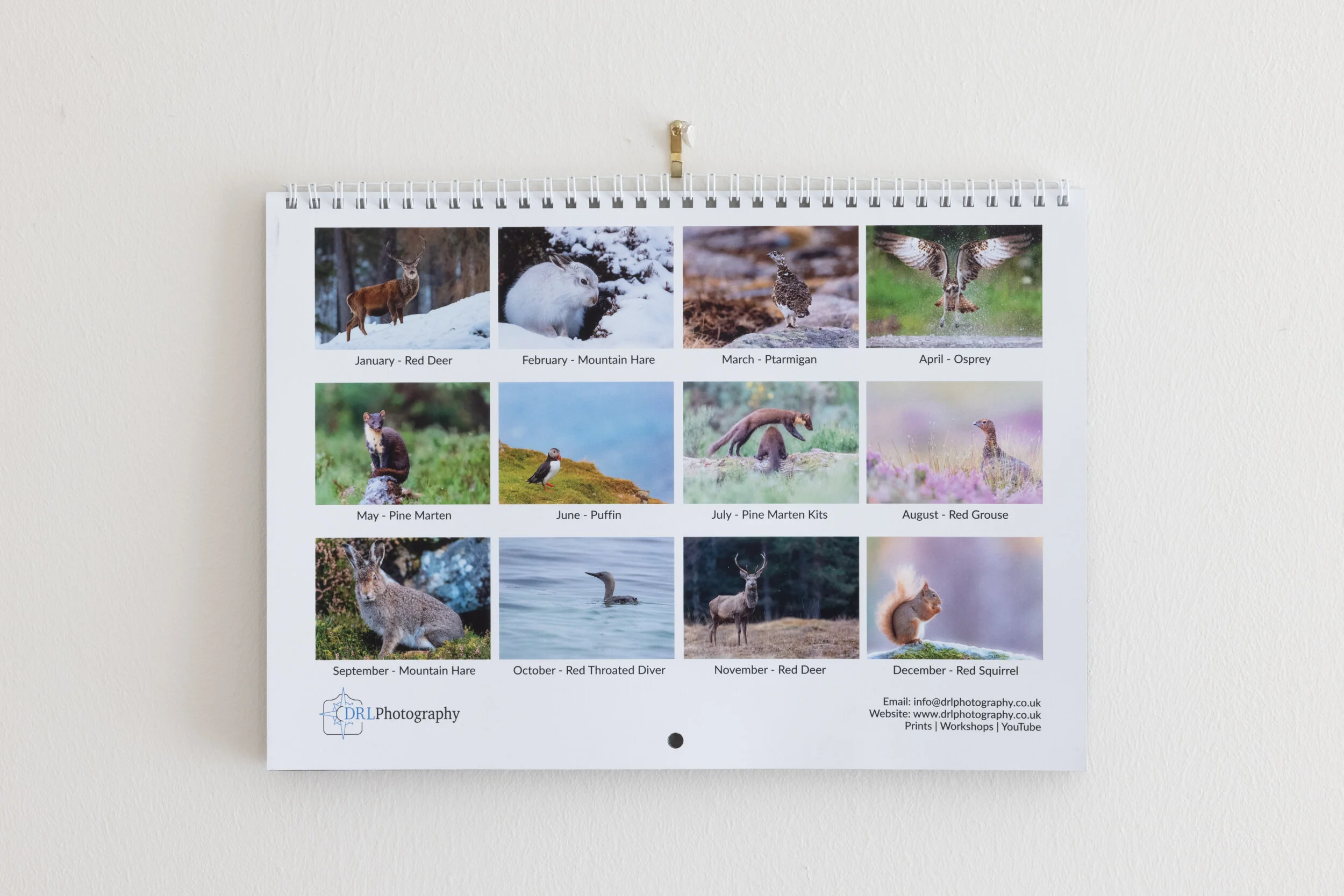 Shop — Daniel Long Photography