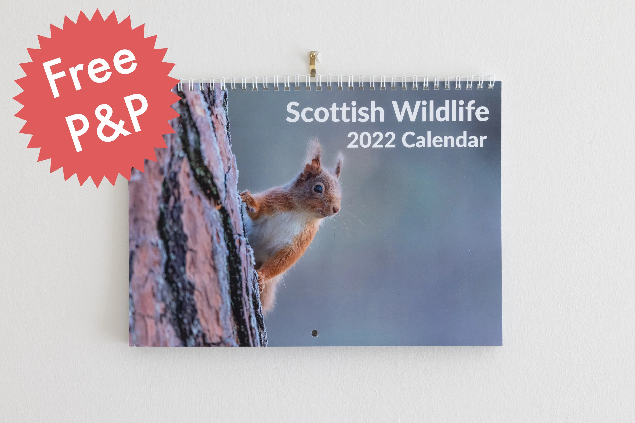 Shop — Daniel Long Photography