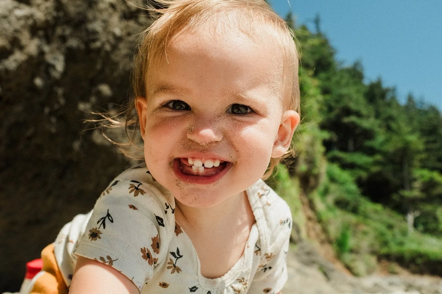 Shop — HAMISH JACKSON POTTERYHAMISH JACKSON POTTERY