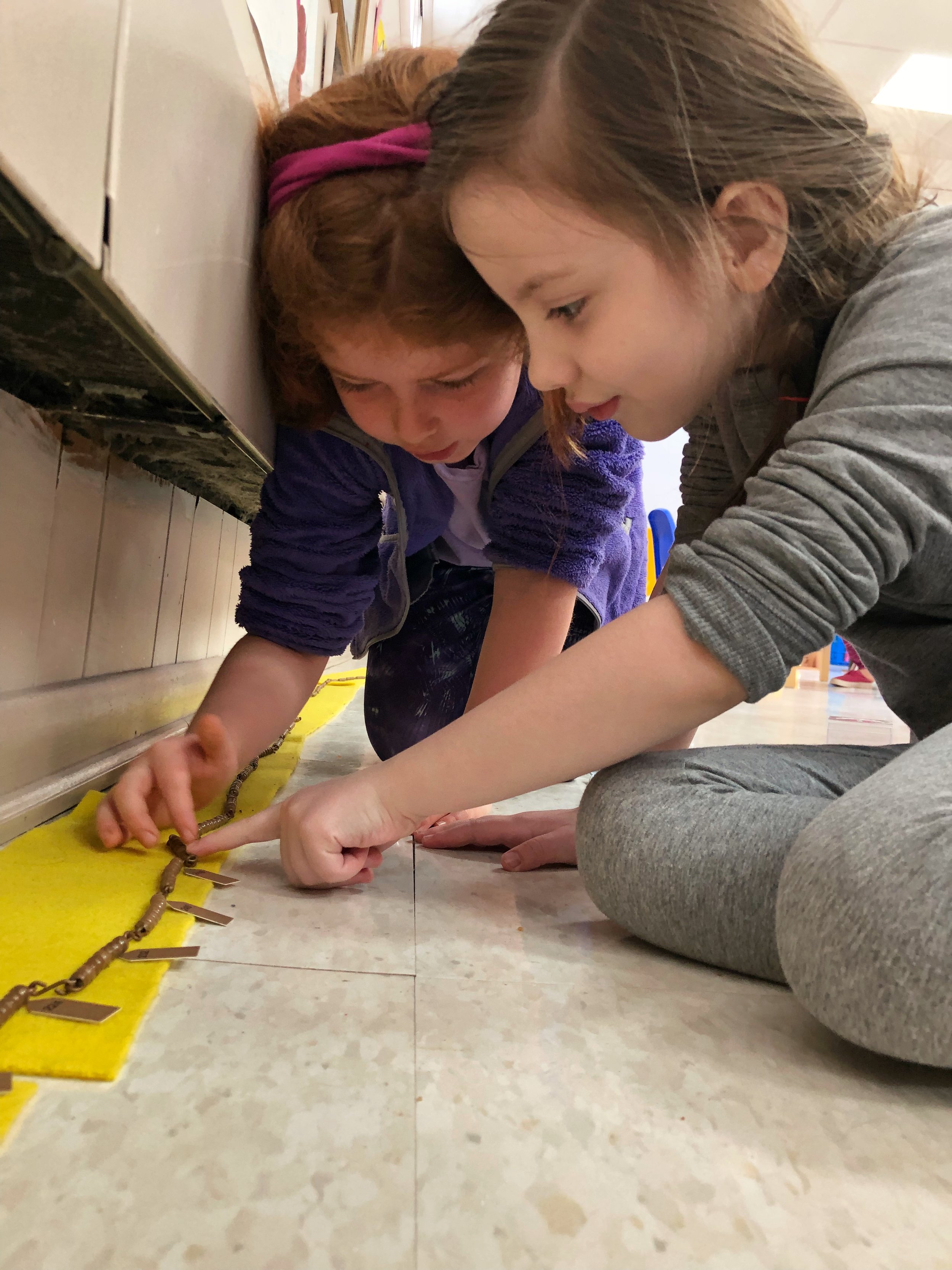 Learning Center — Mountain Laurel Learning Cooperative