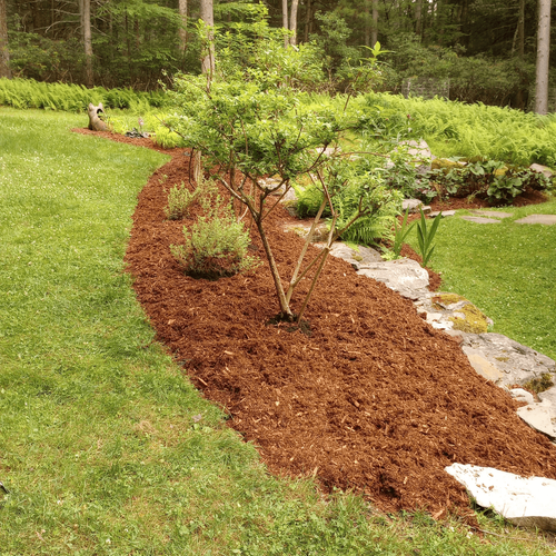 Project Meadow | Narrowsburg NY