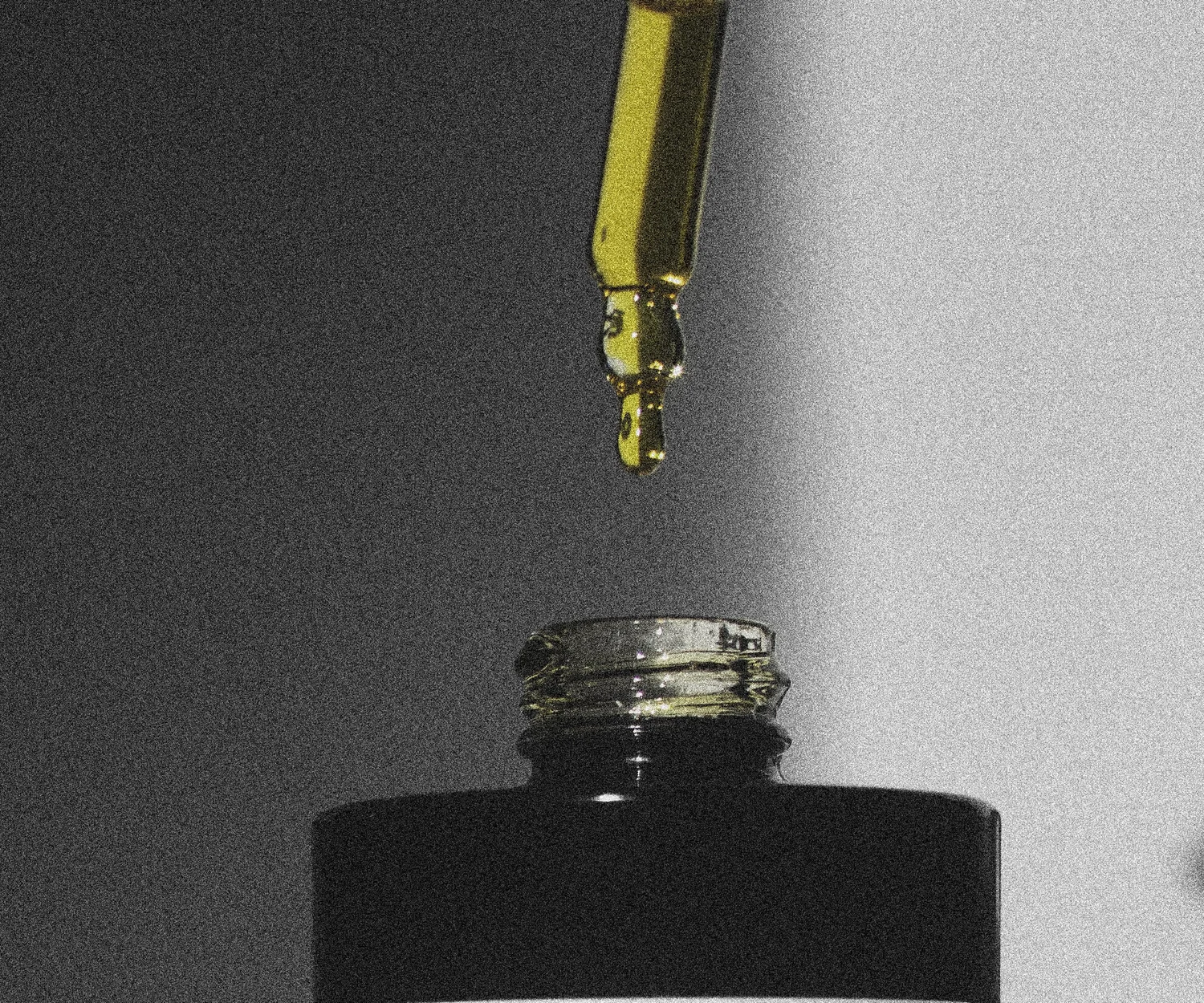 Barcelona Eau de Parfum 50ml — La Botica Multidisciplinary Design and ...