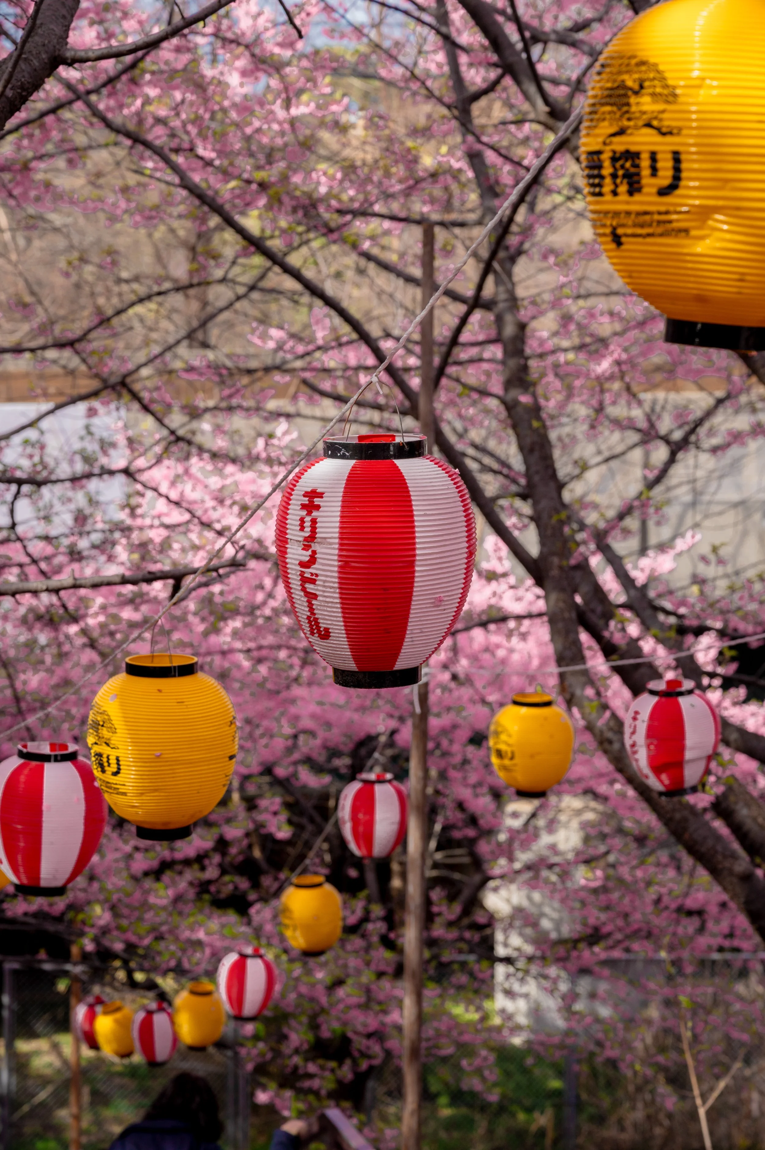 JAPAN TRAVEL AND BEYOND | Discover the Magic: MiuraKaigan Station ...