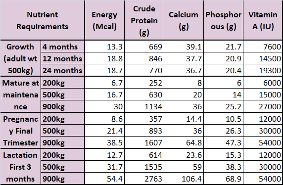 Equestrian Spirit - Feeding Your Horse (Part 3) - Nutrients