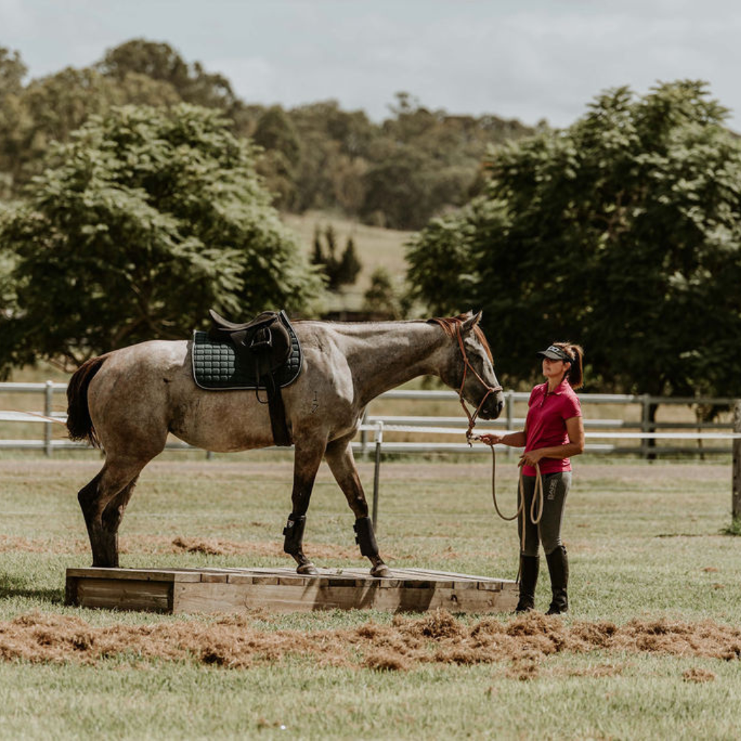 Equestrian Spirit - Stop The Spooking and Teach You Horse To Be Curious