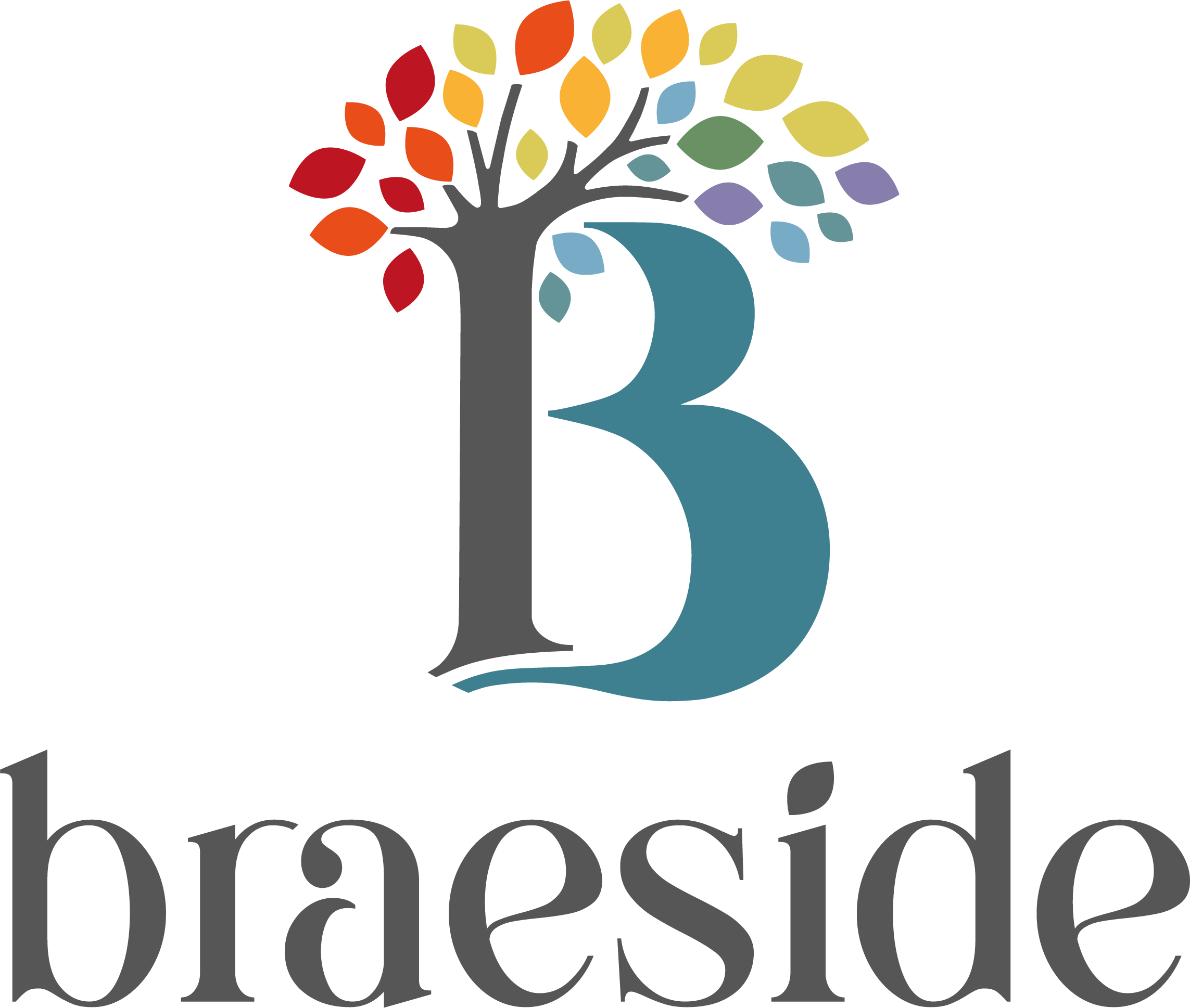 Braeside Residential Home for the Elderly