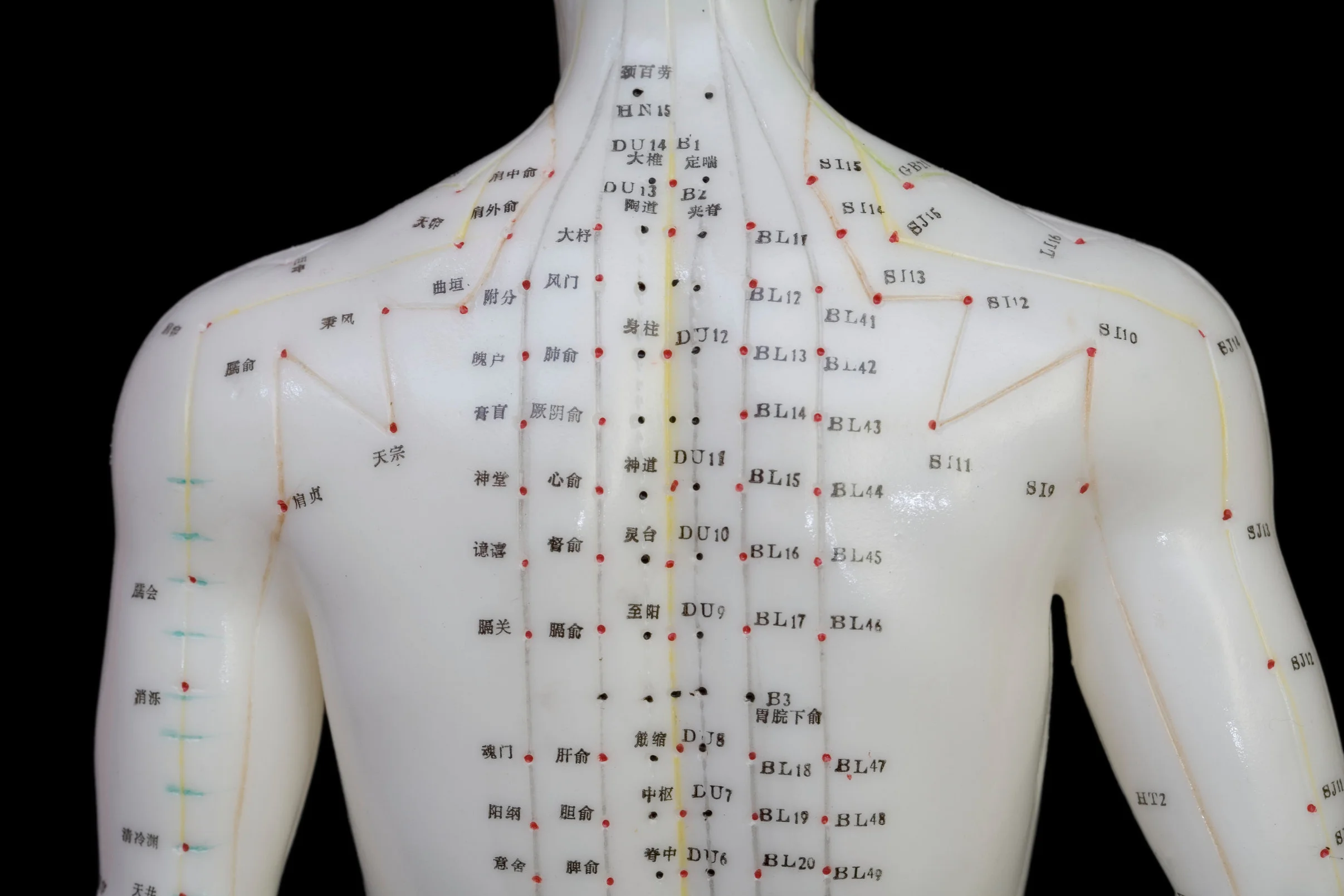 Center Acupuncture Acupuncture Center Acupuncture Acupuncture
