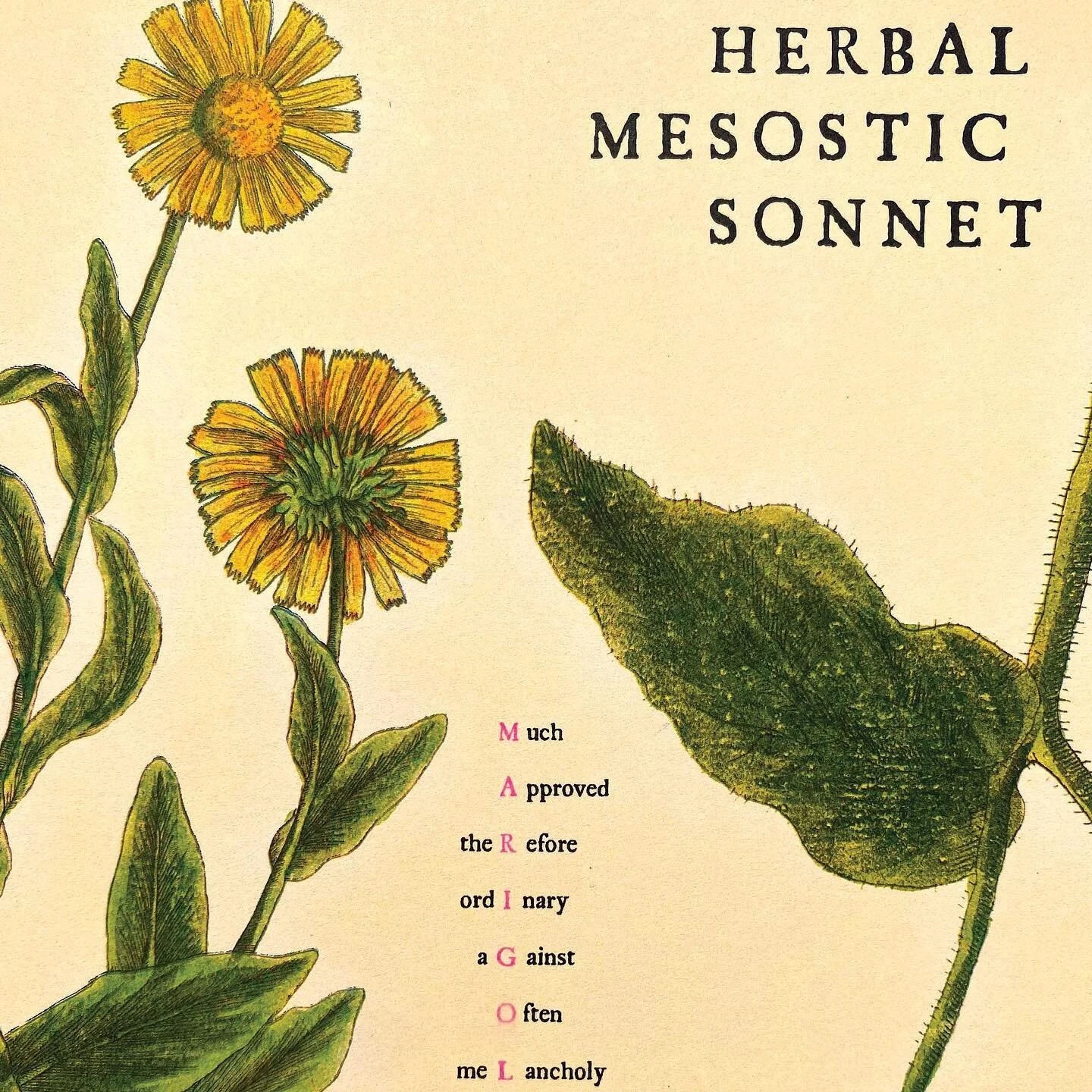 our work — earthbound press