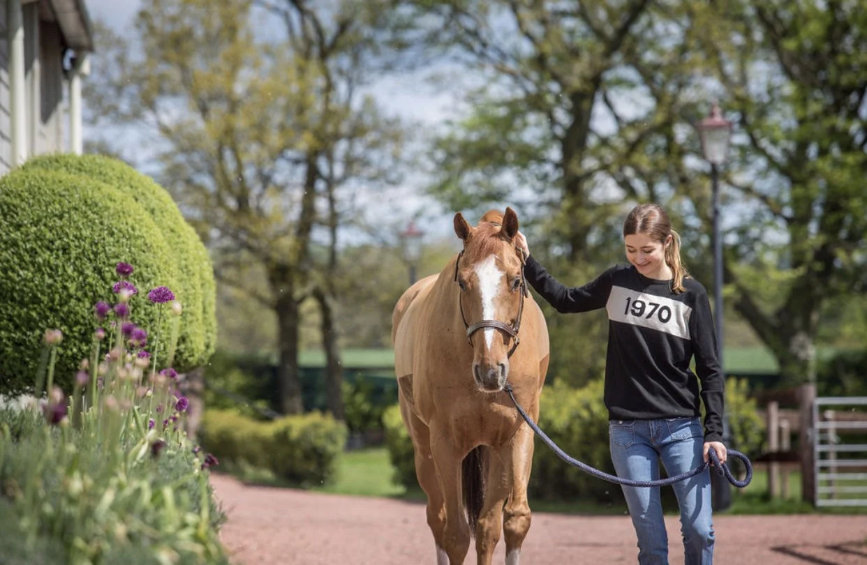 Ambassadors — Heathcroft Farm