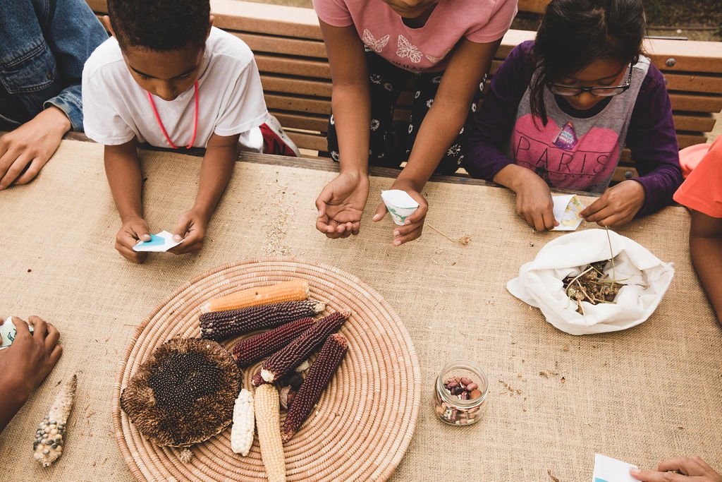 Exploring Seeds — The Human Nature Center