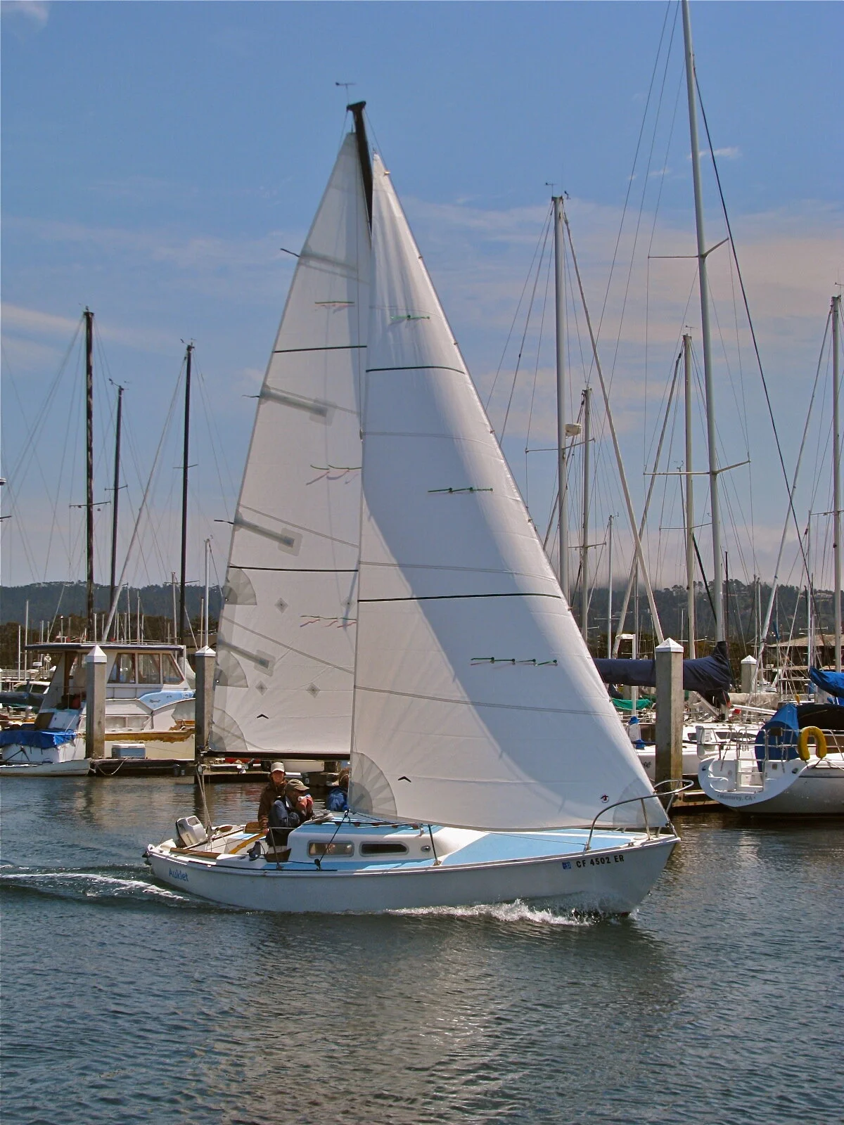 Flamingo nxt dacron sails - wedpassa