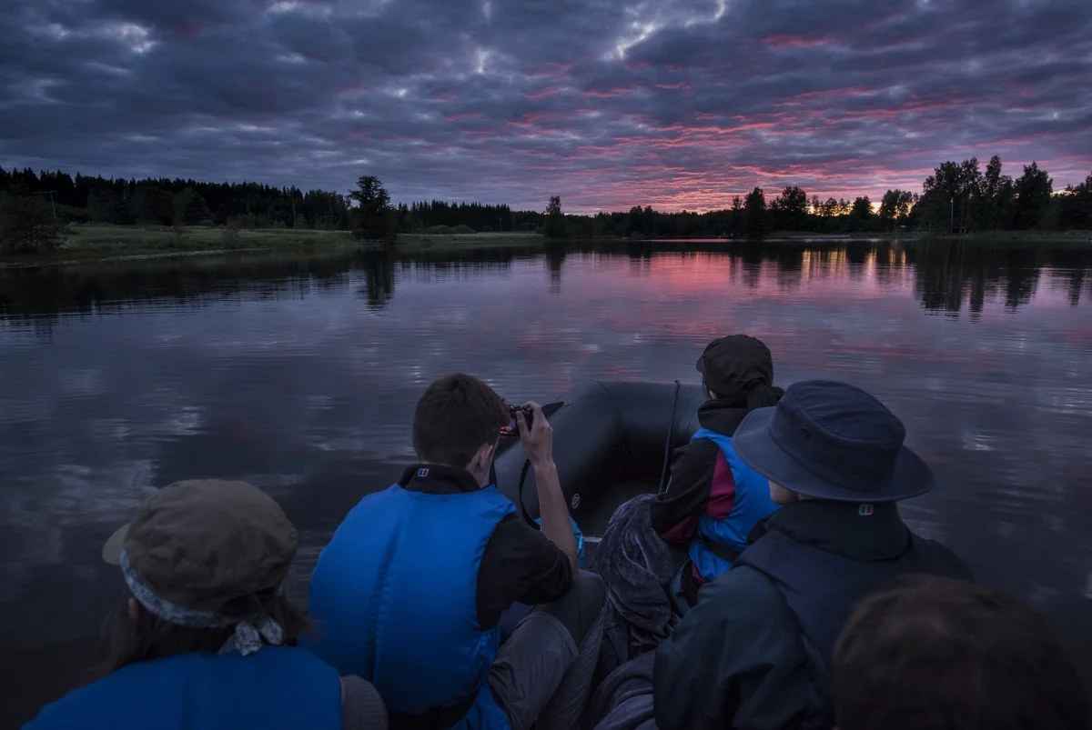 Summer wildlife tour: Wolves, Moose & Beavers — WildSweden - wildlife ...