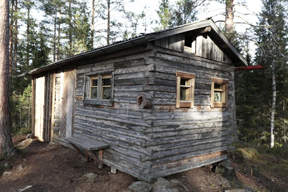 Photograph wild Brown bears in Central Sweden — WildSweden - wildlife ...