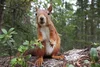 11 incredible images of Sweden’s wildlife — WildSweden - wildlife ...
