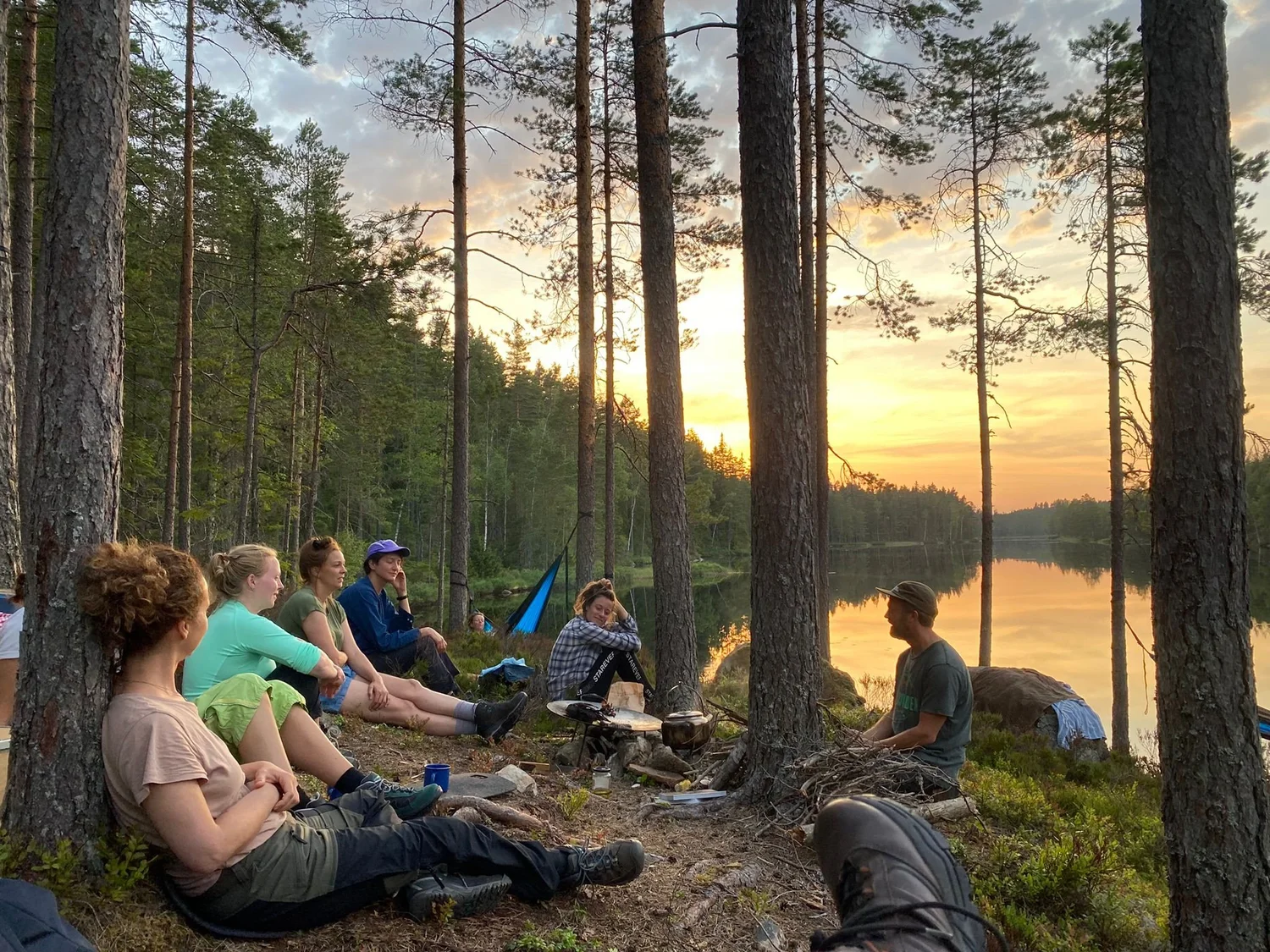 Facts About Bears in Sweden | Where to See Brown Bears — WildSweden ...