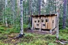 Photograph wild Brown bears in Central Sweden — WildSweden - wildlife ...