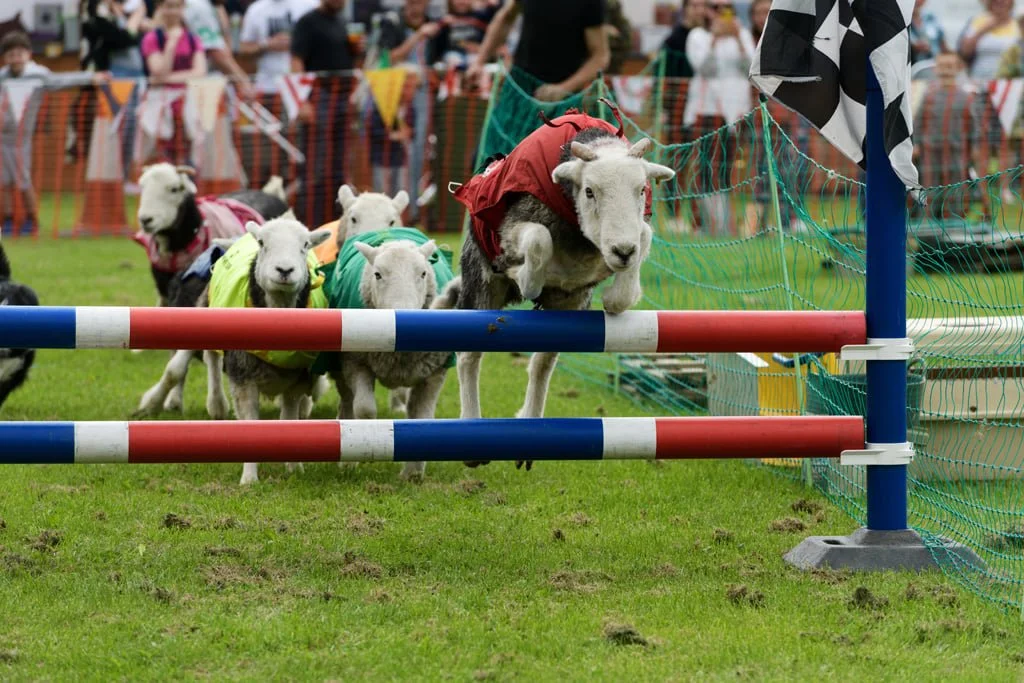 Summer Carnival — Tring Together