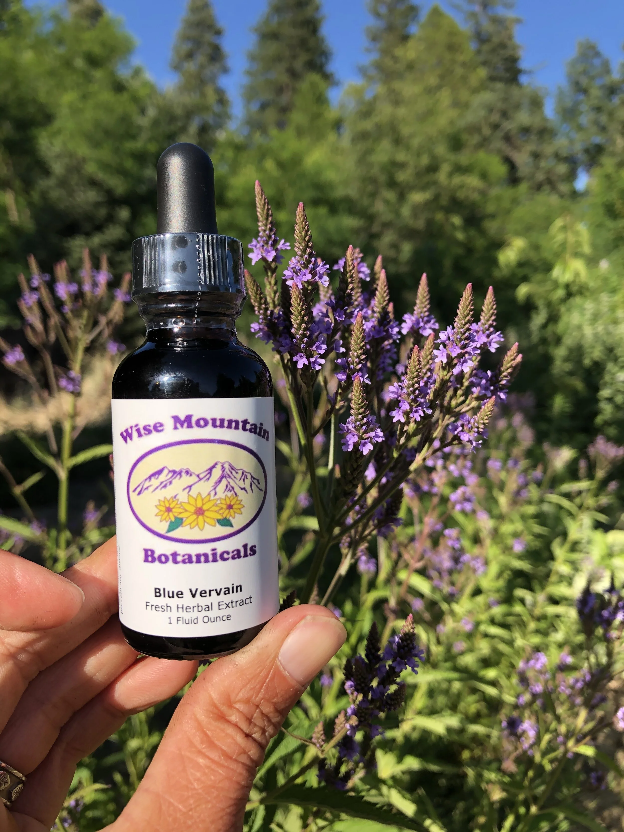 Single Herb Tinctures — Wise Mountain Botanicals