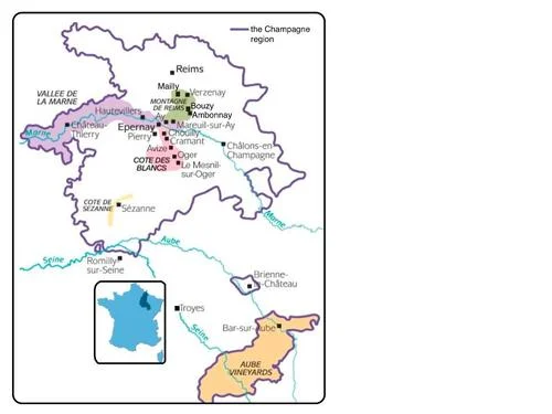 Champagne- Regions — Terroir Wines