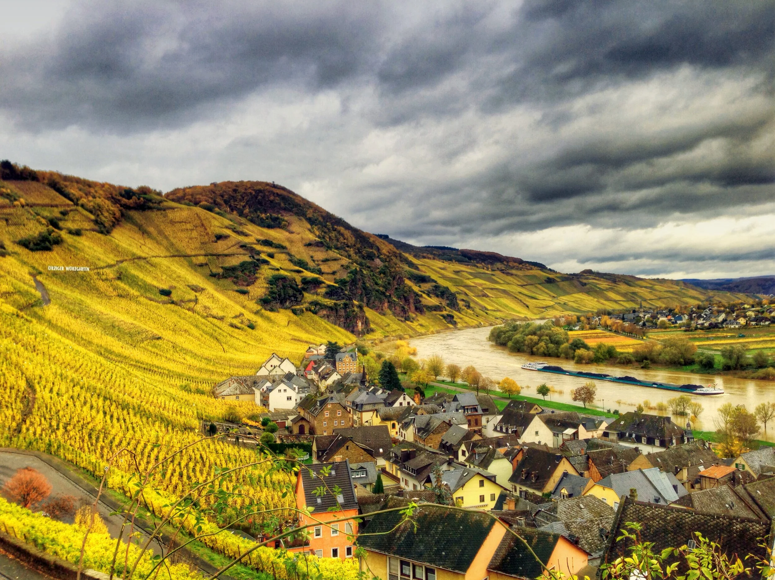 Dr Hermann — Terroir Wines