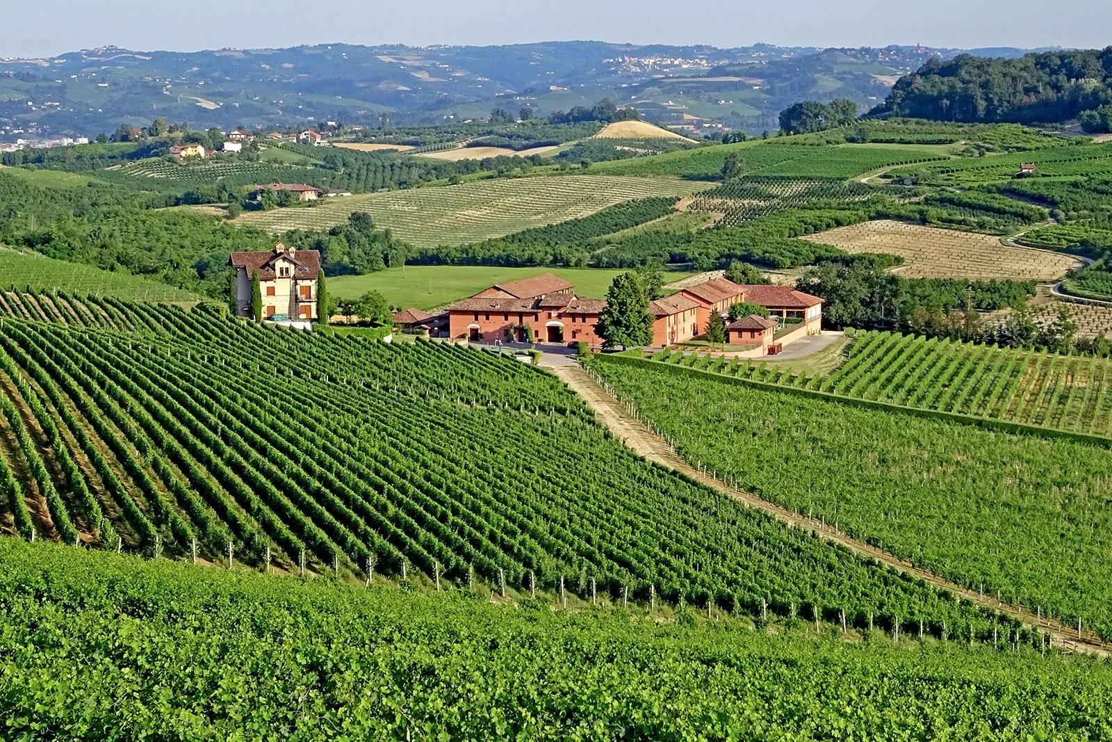 Tenuta Carretta — Terroir Wines