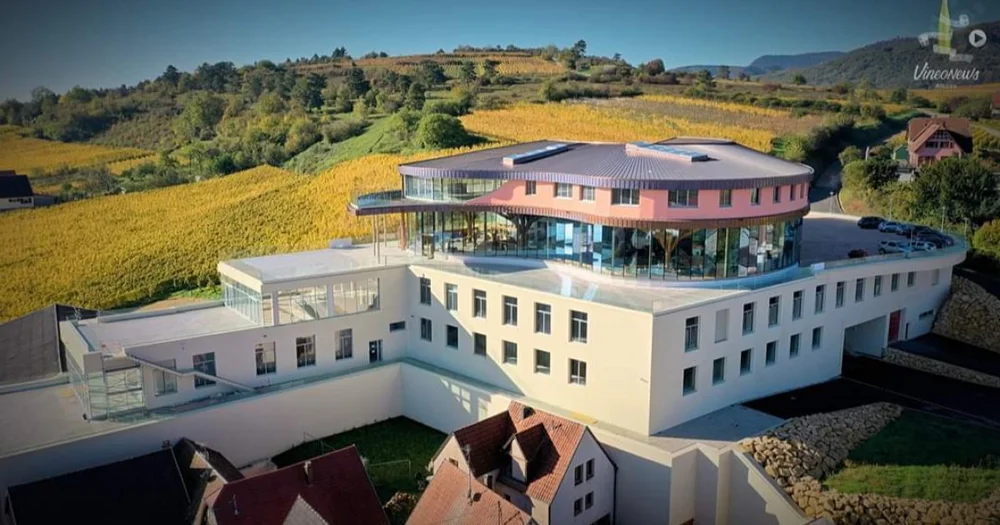 Rolly-Gassmann — Terroir Wines