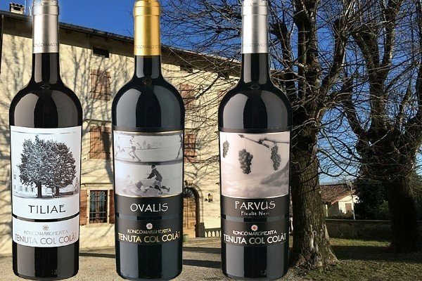 Ronco Margherita — Terroir Wines