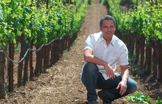 Vivier — Terroir Wines