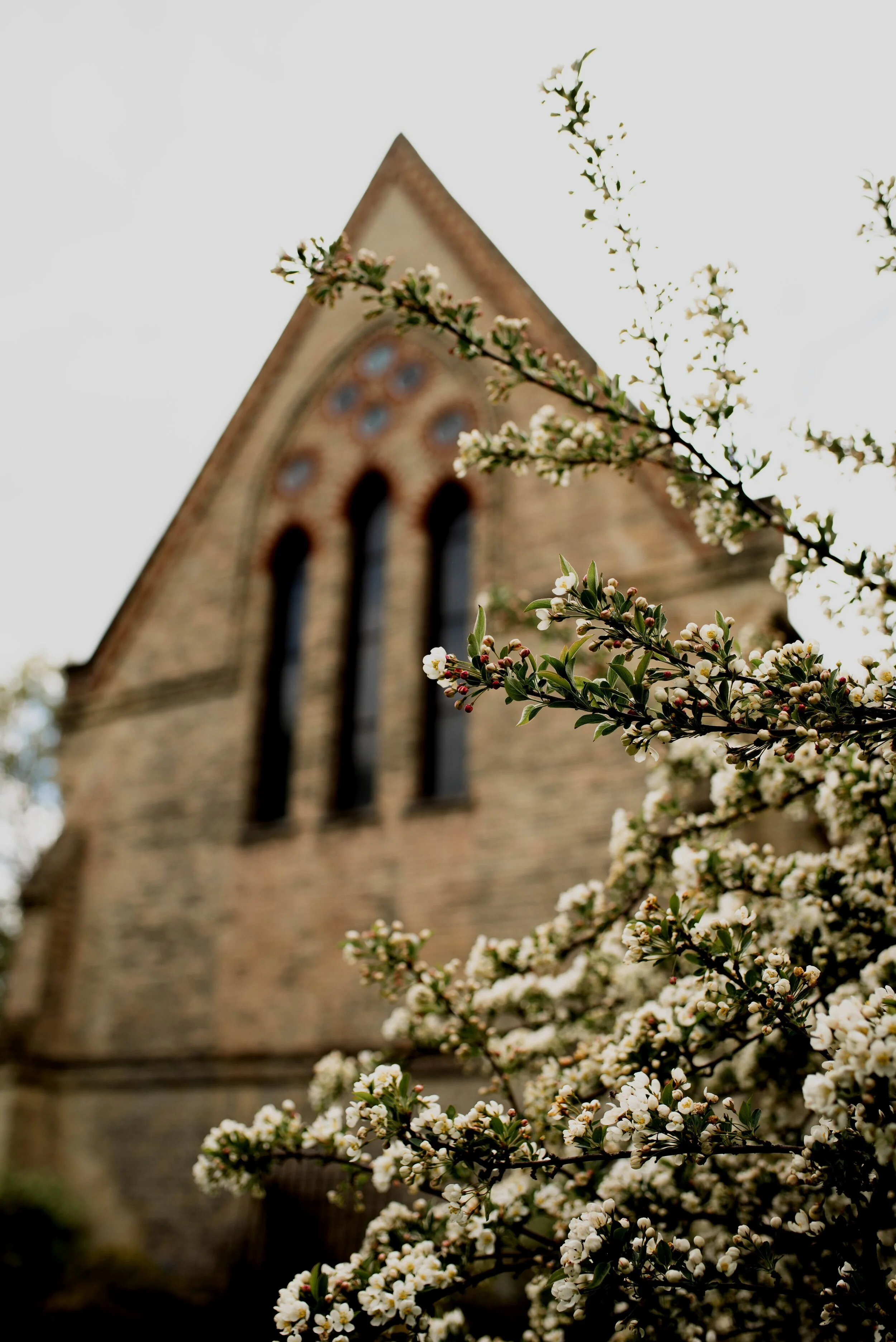 DeKoven Staff | Meet Our Dedicated Staff — DeKoven Center